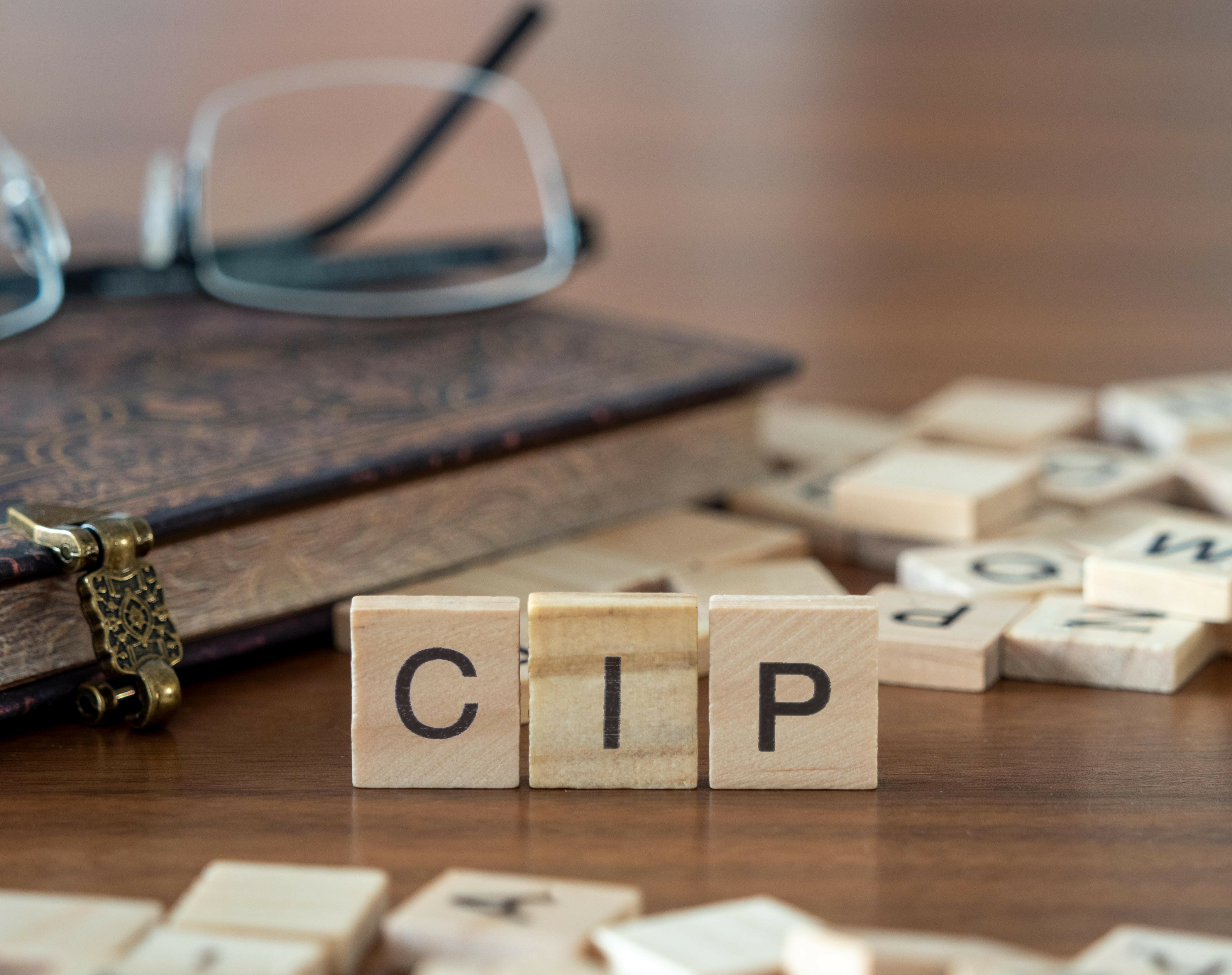 Top BSA Violations: CIP
