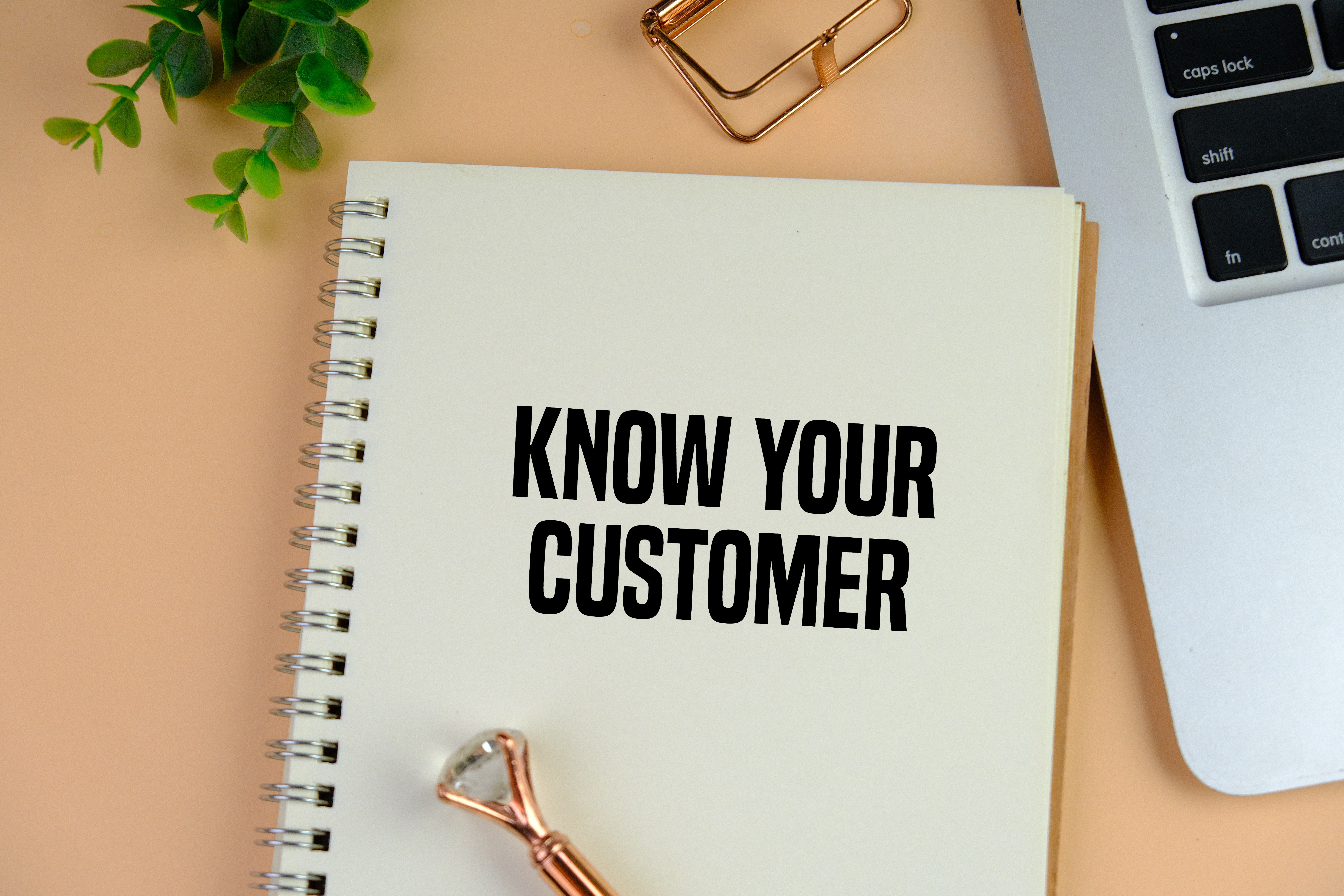 Customer Due Diligence/Beneficial Owners: Updating Customer Information