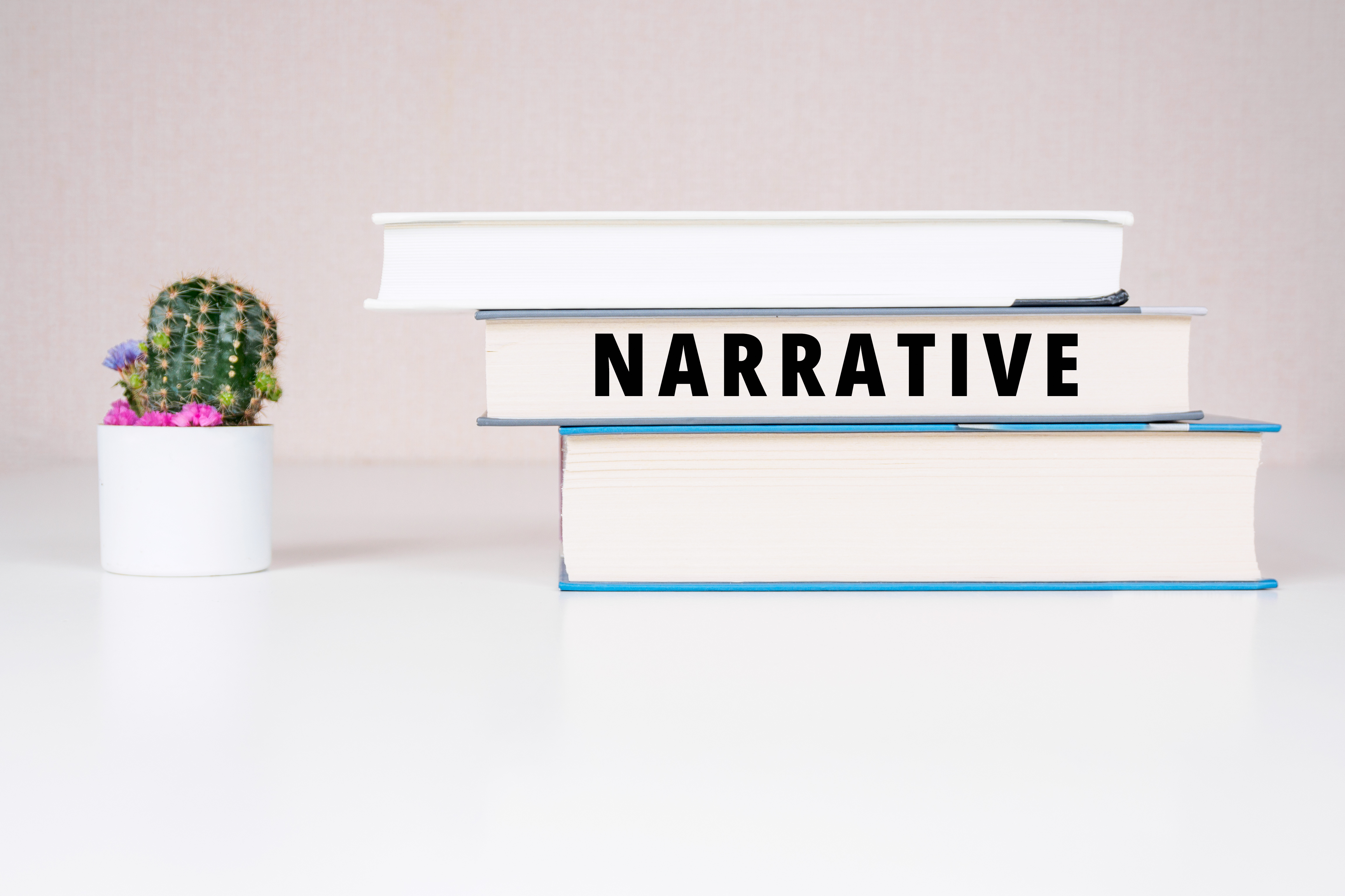 Role of the SAR Narrative